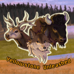 Yellowstone Unleashed Codes (June 2026)